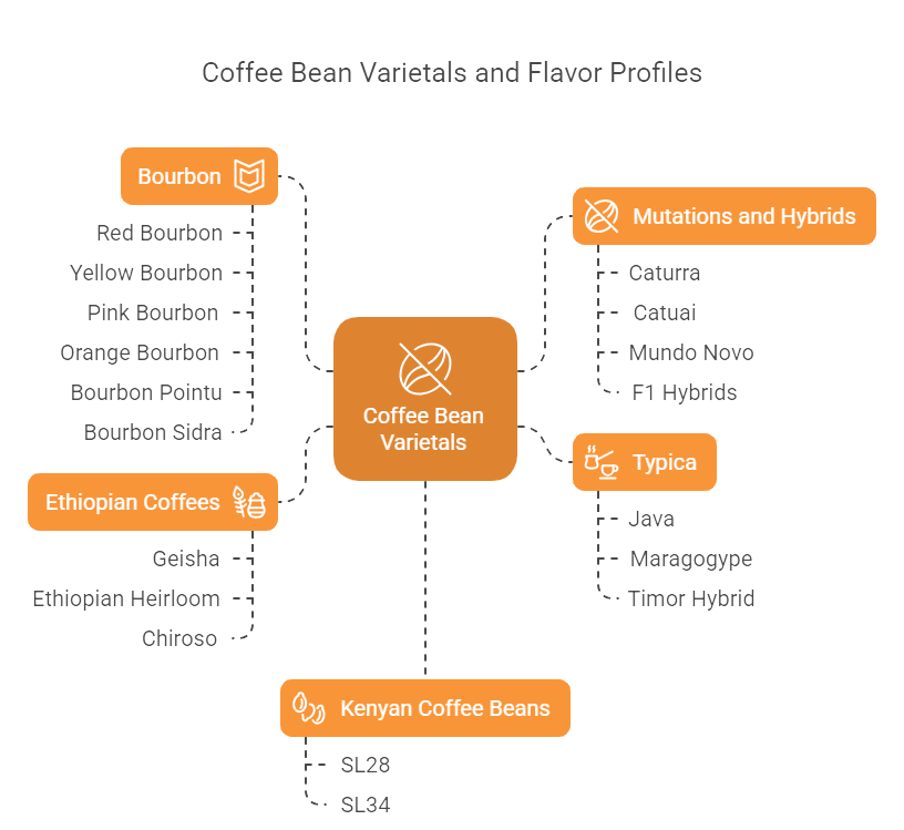 Coffee Bean Varietals and How they Influence Flavor – MAK Coffee